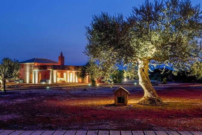 WIne & Olive Oil Tasting in an Organic Farm in Laconia, Greece! - The Sum Up