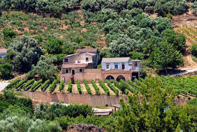 Wine & Olive Oil tasting one day private tour in Crete - The Value Proposition