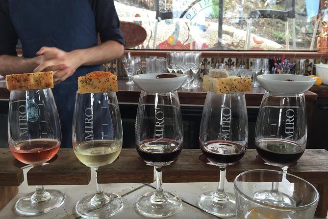 WINE ON WAIHEKE , Scenic and PEMIUM Wine tasting MAX 11 clients - An In-Depth Look at the Waiheke Wine Tour