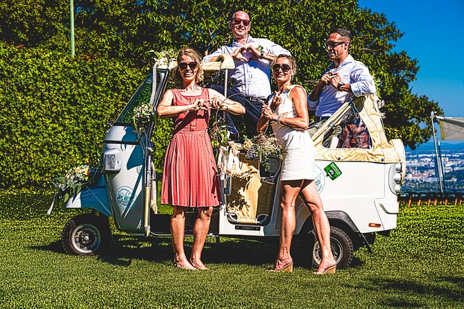 Wine Picknick Overlocking Vienna - Exploring the Breathtaking Views of Vienna