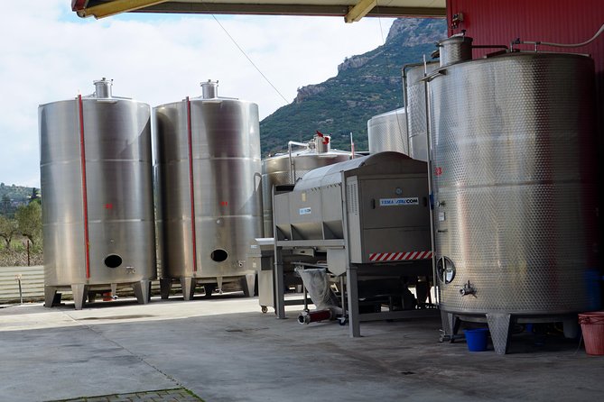 Wine Roads Private Day Tour: Corinth - Ancient Nemea & Wine Tasting - Accessibility and Health Safety Measures