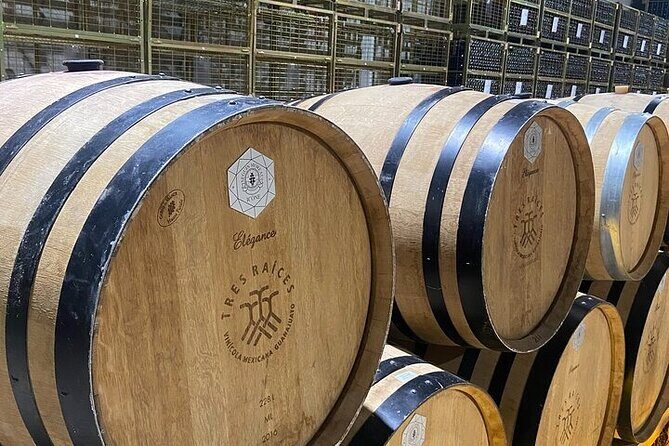 Wine Route !, Vineyards, wine tasting and pairing - The Sum Up