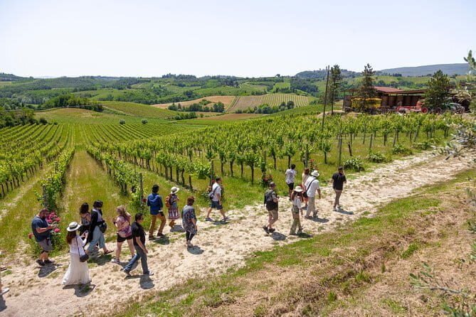 Wine Safaris: Off Road Tuscany Wine Tours and Lunch from Florence - Final Thoughts: Is This Tour Right for You?