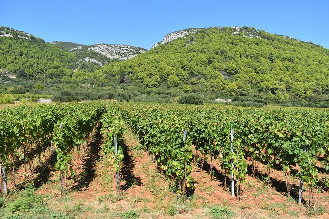 Wine & Sightseeing Tour Korcula - Accessibility and Additional Information