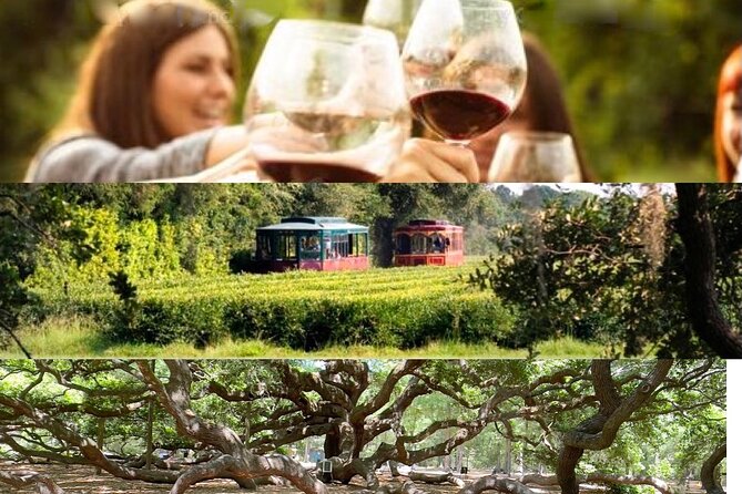 Wine Sippin'-Tea Drinkin'-Tree Huggin' Lowcountry Sightseeing - Key Points