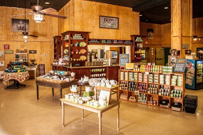 Wine Sippin'-Tea Drinkin'-Tree Huggin' Lowcountry Sightseeing - The Sum Up: Who Will Love This Tour?