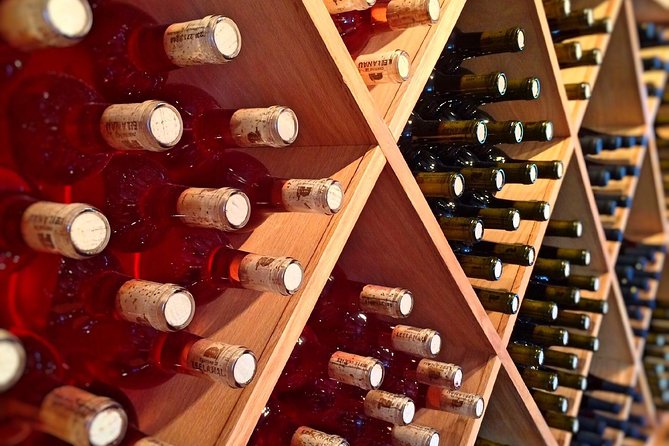 Wine & Tapas Tour by Electric Bike (E-Bike) Including Ronda Pickup (Full Day) - Inclusions and Amenities