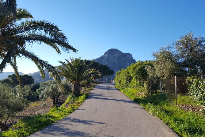 Wine & Tapas Tour by Electric Bike (E-Bike) Including Ronda Pickup (Full Day) - Booking Information and Pricing