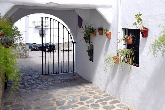 Wine & Tapas Tour by Electric Bike (E-Bike) Including Ronda Pickup (Half Day) - What to Expect