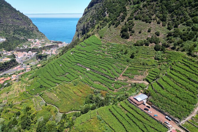 Wine taste, 4x4 Jeep Adventure and Cabo Girão Skywalk - Exploring Madeira: A Unique 4x4 Jeep and Wine Experience
