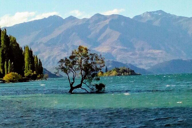 Wine Tasting Adventure Wanaka and Beyond - An Introduction to the Tour: Why It Matters