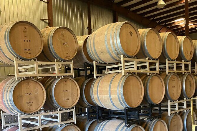 Wine Tasting And Boat Ride - A Closer Look at the Outer Banks Wine Tasting and Boat Ride Experience