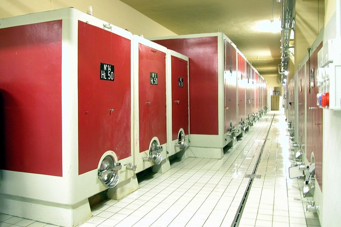 Wine tasting and guided tour of the cellar - Who Will Love This Tour?