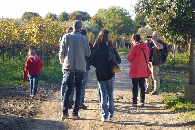 Wine Tasting and Guided Visit to the Vineyard and Cellar in S. Maria Imbaro - Who Will Love This Tour?