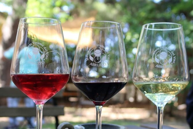 Wine Tasting and Guided Visit to the Vineyard and Cellar in S. Maria Imbaro - FAQ: Questions About the Vineyard and Cellar Tour