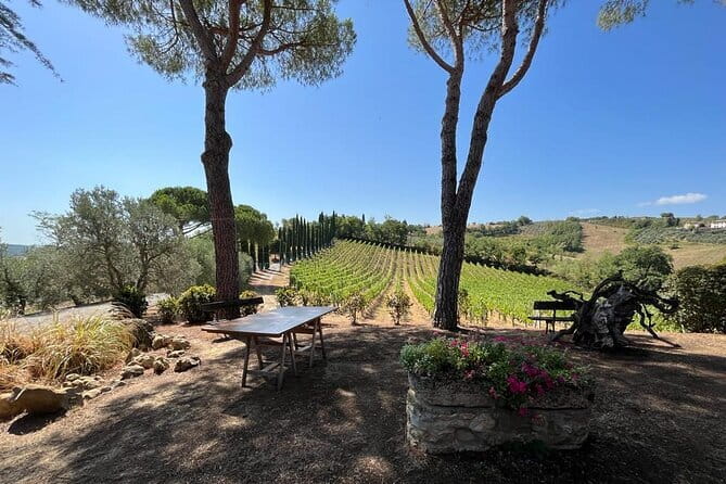 Wine Tasting and History Guided Day Tour in Chianti - Transportation and Practical Details