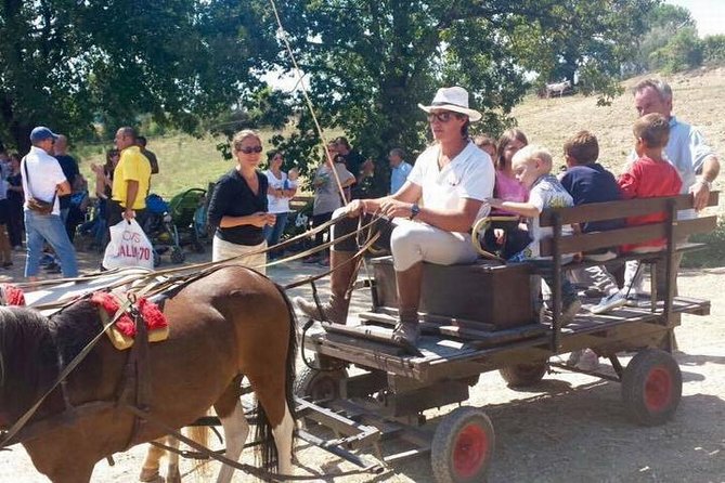 Wine tasting and horseback riding in Montepulciano, in Tuscany from Rome - Value and Pricing