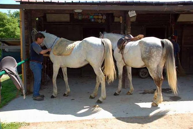 Wine tasting and horseback riding in Montepulciano, in Tuscany from Rome - Frequently Asked Questions