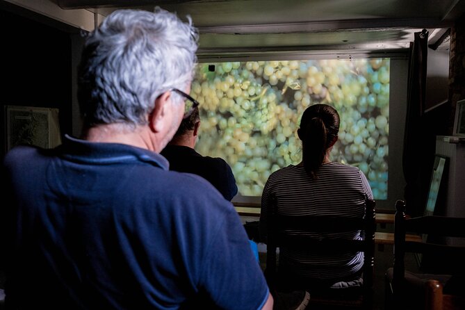 Wine Tasting and Immersive Cellar Tour - Guest Reviews and Feedback