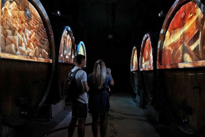 Wine Tasting and Immersive Cellar Tour - Sensory Journey Through Alsatian Wines