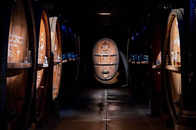 Wine Tasting and Immersive Cellar Tour - Engaging and Educational Tour Highlights