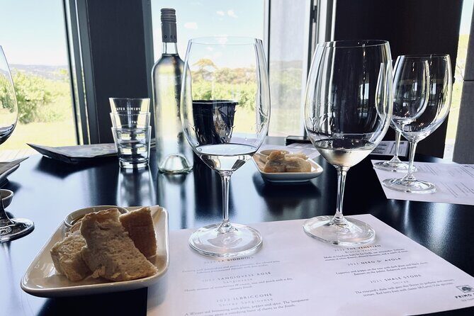 Wine Tasting and Lunch Private Tour in McLaren Vale - A Deep Dive into the McLaren Vale Experience