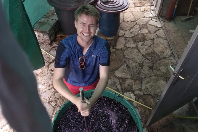 Wine tasting and magical tour from Kotor, Budva, Tivat (Lovcen,Skadar lake) - The Sum Up: A Well-Rounded Montenegro Adventure