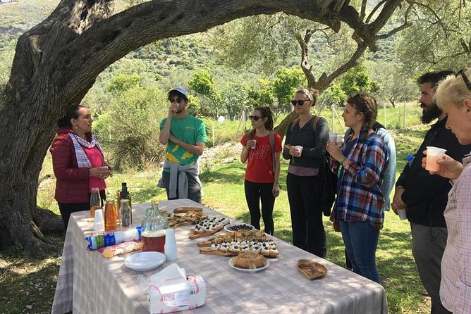 Wine tasting and Olive Oil in Tirana Surroundings - Why This Tour Is Worth Considering