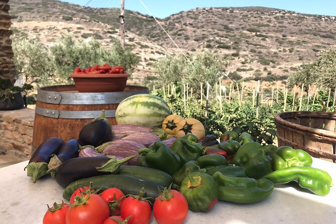 Wine Tasting and Tour in Saint Anna Winery in Naxos - Guest Experiences and Reviews