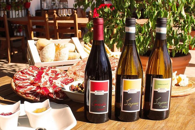 Wine Tasting and Tour of Lugana Wines in Sirmione - Since You Asked