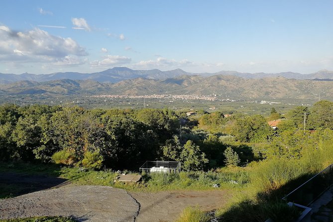 Wine Tasting and Village Tour From Taormina - Wine Tasting at Gambino Winery