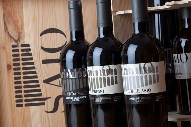 Wine Tasting and Walk in the Vineyard of Assisi - Confirmation and Accessibility