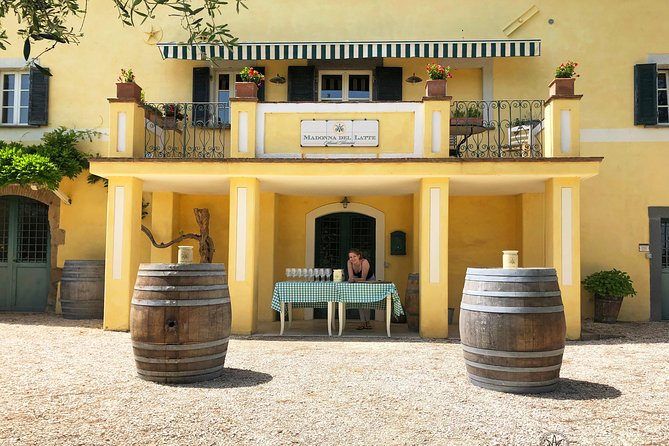 Wine Tasting and Winery Tour - Exploring the Vineyards