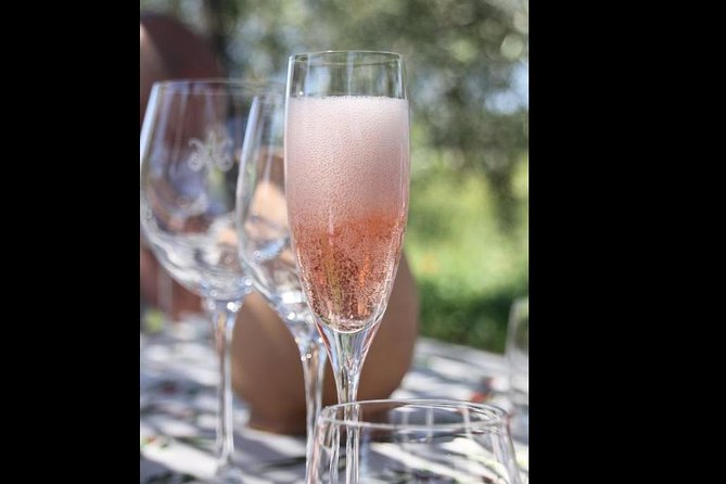 Wine Tasting and Winery Tour - Taking in the Wine-Making Process