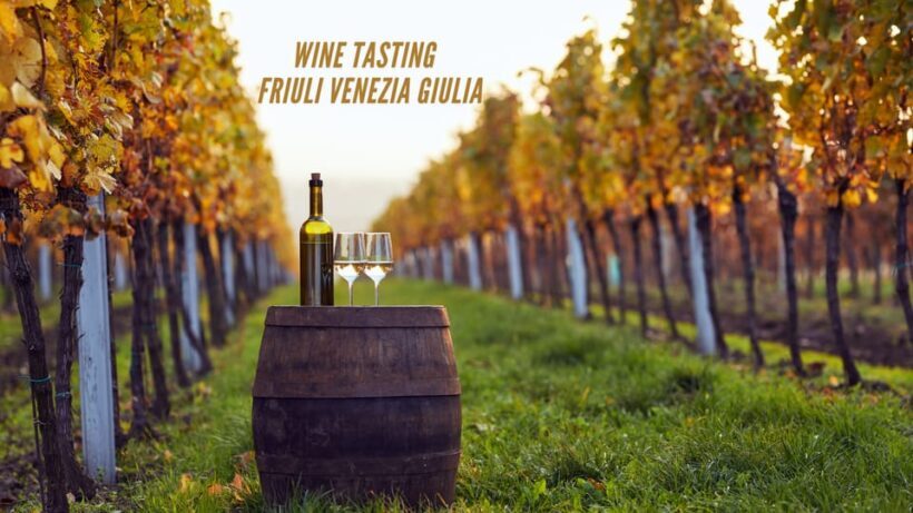 Wine tasting and winery tour in Friuli Venezia Giulia - A Deep Dive into the Friuli Venezia Giulia Wine Tour