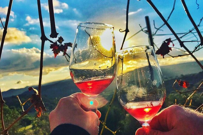 Wine Tasting and Winery Tour in Lemona Village, Paphos - Tour Experience