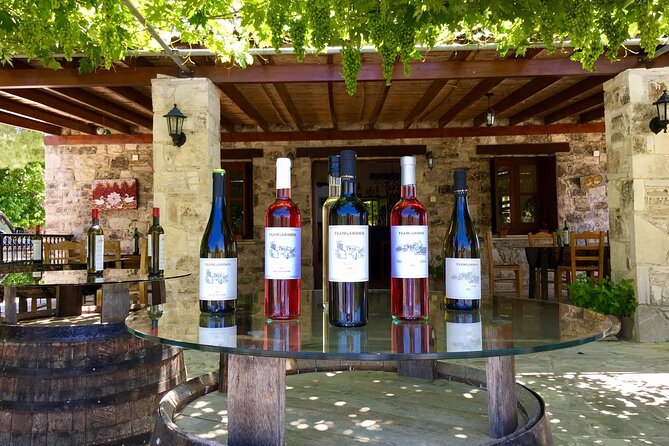 Wine Tasting and Winery Tour in Lemona Village, Paphos - Traveler Feedback