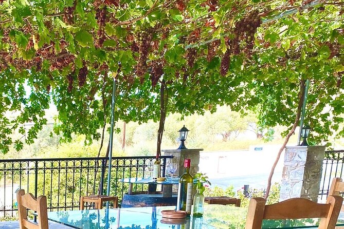 Wine Tasting and Winery Tour in Lemona Village, Paphos - Exploring the Tsangarides Winery