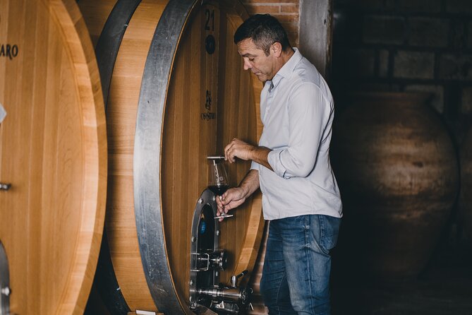 Wine Tasting and Winery Tour in Vesuvio National Park with Lunch - Introduction