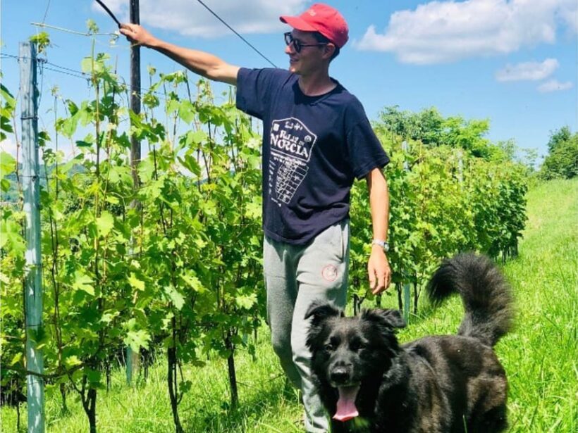 Wine Tasting and Winery Visit near Asti and Turin - A Closer Look at the Wine Tasting and Winery Visit near Asti and Turin