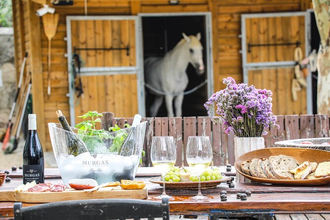 Wine tasting at Quinta das Murgas - What’s the Value?