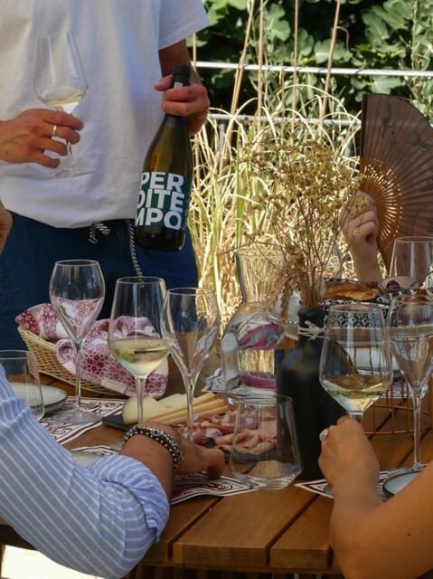 Wine tasting at Terre Rosse Vallania: History, Nature, Tradition. - Who Should Book This Tour?