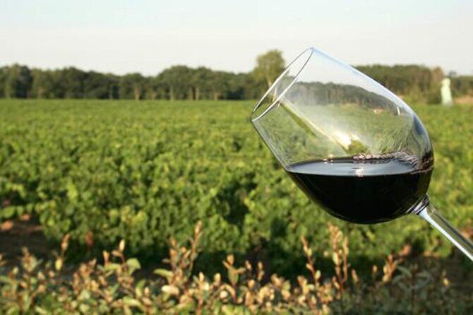 Wine Tasting Audio Tour - Lodi California - Practical Considerations and Value