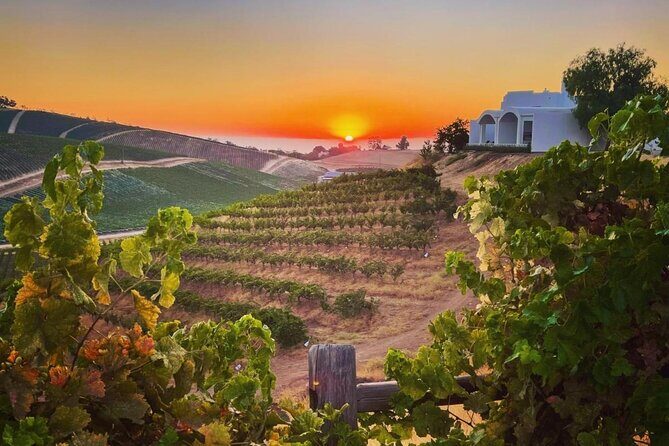 Wine Tasting Audio Tour - Paso Robles CA - An In-Depth Look at the Tour Itinerary