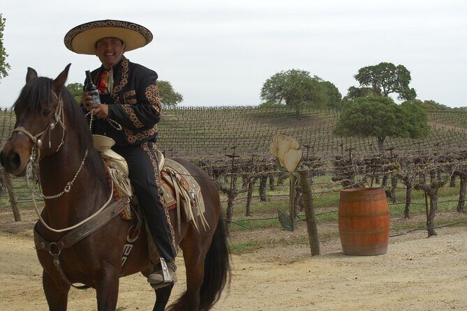 Wine Tasting Audio Tour - Paso Robles CA - The Sum Up