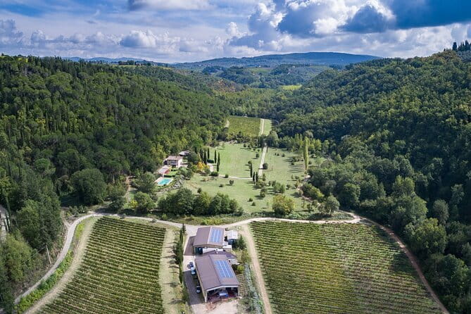 Wine Tasting by CarusVini in San Casciano in val di Pesa - The Sum Up