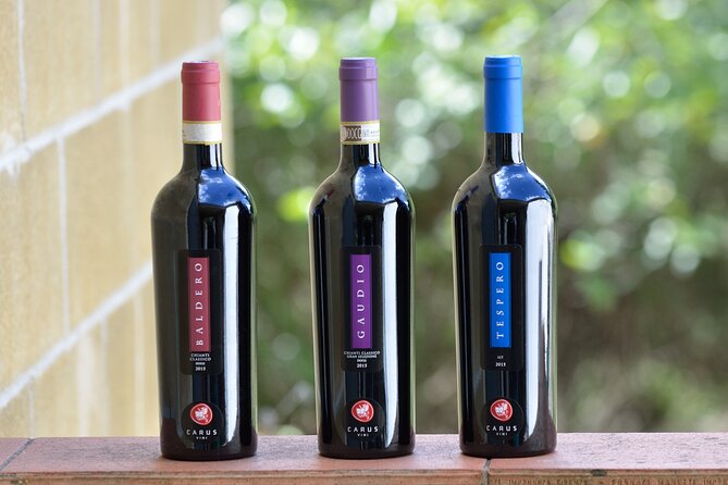 Wine Tasting by Carusvini in San Casciano in Val Di Pesa - Customer Reviews and Ratings