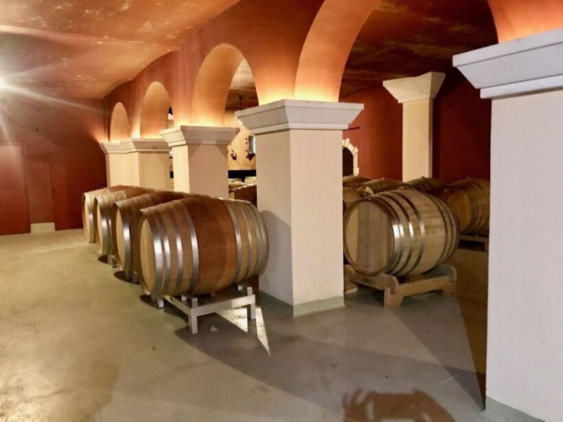 Wine Tasting, Cannes, Famous Designers and Perfume Factory - Who Should Consider This Tour?