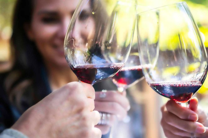 Wine Tasting, Dinner and Cooking Class Under the Sunset - Final Thoughts