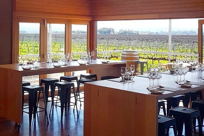 Wine Tasting Experience - Why This Experience Works